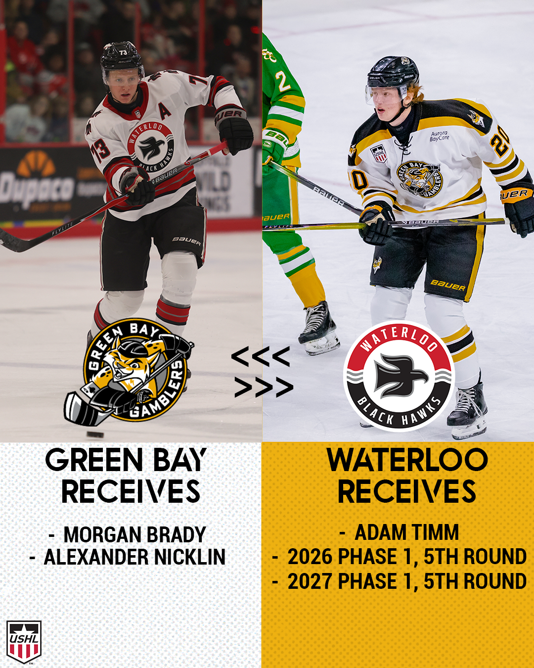 Gamblers Acquire Defenseman Morgan Brady from the Waterloo Black Hawks ...